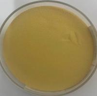 China Beer Yeast Powder Feed Additive 50-70% Crude Protein for Livestock for sale