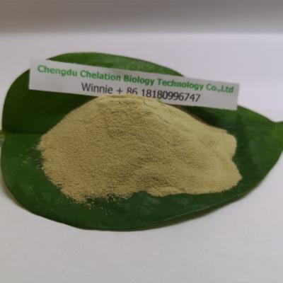 China Yellow Amino Acid Chelate Calcium Proteinate Animal Ca Feed Additives For Layer for sale