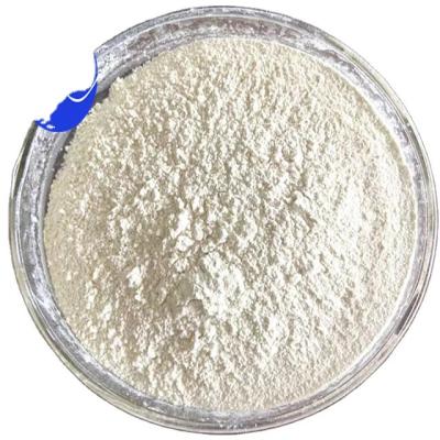 China Layer Feed Calcium Feed Supplements Powder For Chickens for sale
