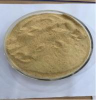 China Brewers Yeast For Animal Feed With High Real Protein for sale