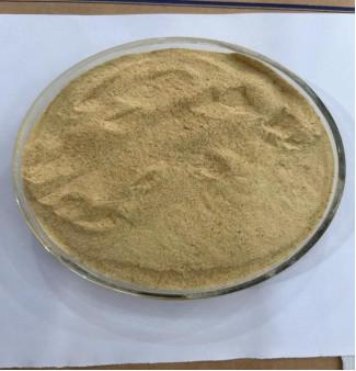 China Brewers Yeast For Animal Feed With High Real Protein for sale