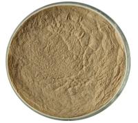 China Honeysuckle Flower Plant Extracts Chlorogenic Acid 5% Anti Virus for sale