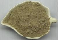 China Single Cell Protein Feed Probiotics Lysine Fermentation Bacterial Protein for sale