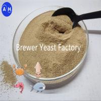 China High Activity Dry Yeast For Improved Digestive Health With Saccharomyces Cerevisiae for sale