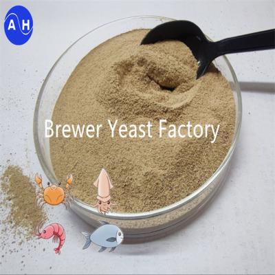 China High Activity Dry Yeast For Improved Digestive Health With Saccharomyces Cerevisiae for sale