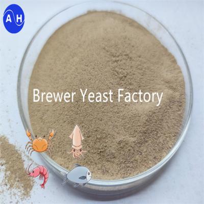 China Highly Nutritious Animal Feed Yeast With Saccharomyces Cerevisiae For Digestive Health for sale
