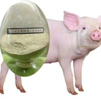 China Swine Probiotics Complex Prebiotic And Probiotic Premixed Feed For Livestock And Poultry Pig Fatten Grower Feed for sale