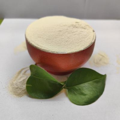 China Animal Feed Brewer's Yeast for Ducks Improves Feed Efficiency And Eggshell Quality for sale