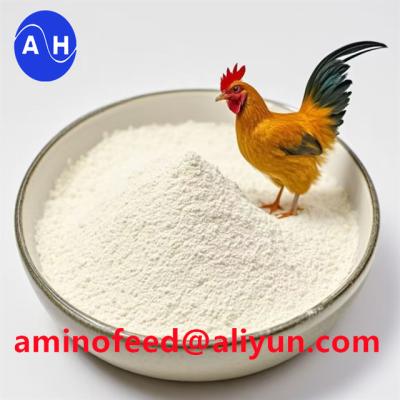 China Amino Acid Chelate For Animal Feed Formulations In Thailand High Bioavailability And Improved Nutrient Absorptio for sale