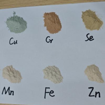 China 0.2% Chromium Chelated Mineral Feed Additive for Poultry for sale