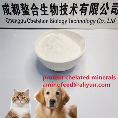 China Zinc Amino Acid Chelate 20% Feed Additive for Pet Food for sale