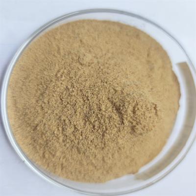 China Soy Protein Powder Feed Additive 50% Protein for Animal Feed for sale