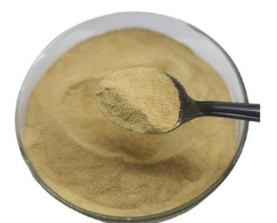 China Enzymatic hydrolysis of soy protein 50% For Animal Feed Supplement for sale
