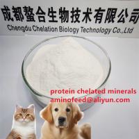 China Methionine Chelated Zinc Feed Supplement with 35% Methionine and 15% Organic Zinc for Pet Nutrition Applications for sale