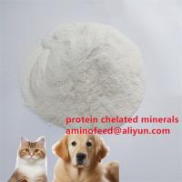 China Methionine Chelated Zinc Feed Supplement with 35% Methionine and 15% Organic Zinc for Pet Nutrition Applications for sale