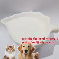 China Methionine Chelated Zinc Feed Supplement with 35% Methionine and 15% Organic Zinc for Pet Nutrition Applications for sale