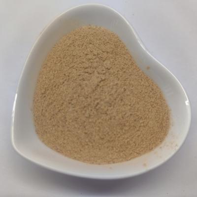 China Cheap Price Brewer's Yeast Powder Poultry Protein Supplement Can Promoting the Appetite of Animals for sale