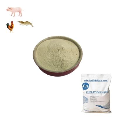 China 90% Protein Poultry Protein Supplement with 98% Water Soluble Enzymatic Peptide Protein Powder Feed Additive for High Absorption Rate for sale