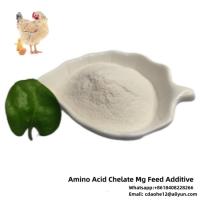 China Animal Feed Additive Amino Acid Chelate Magnesium 10% Mg Proteinate Off White Powder for sale