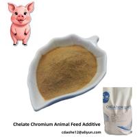 China Animal Feed Additive Amino Acid Chelate Magnesium 10% Mg Proteinate Off White Powder for sale