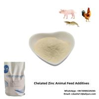 China Animal Protein Powder for Animal Feed Additives Poultry Protein Supplement OEM/ODM for sale