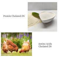 China Animal Feed Additives High Proteinate Chelated Zinc Zn Promote the Development of Immune Organs for sale