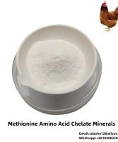 China Feed Grade Additive Amino Acid Chelated Mineral Protein Trace MIneral Zn/Fe/Cu/Mn/Se/Cr for sale