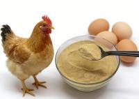 China Chelated Chromium Scientific Chromium Supplementation for helping your hens reach their full potential for sale