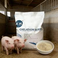 China Calcium Amino Acid Chelate 10% Feed Additive for Livestock Poultry & Aquaculture for sale
