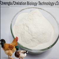 China High-Quality Fish Protein Powder Aquafeed Supplement with 90% Crude Protein, 99% Pepsin Digestibility, and 80% Acid-Soluble Protein for Shrimp and Fish for sale