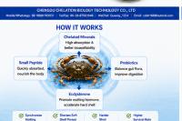 China Aquaculture Feed Small Peptide Chelated Minerals+Calcium To Improve Shrimp Molting for sale