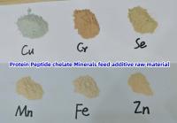 China Aquatic Feed Additives Mineral Organic Calcium Amino Acid Chelate Mg+Ca for Shrimp Crab Molting for sale