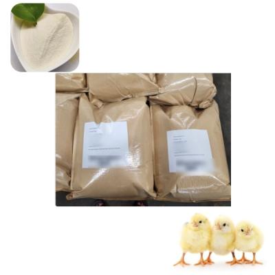China Poultry Feed Premixed for Chicken, Goose, Duck Enhanced with Chelated Minerals & Vitamins for sale