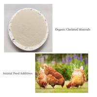China Animal Feed Additives Chelation Active Magnesium Mg for the Growth and Shelling of Shrimp and Crabs for sale