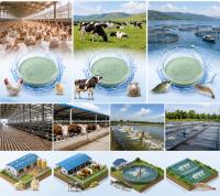 China Glycine Chelated Mineral Vitamin Premix High Absorption Organic Chelated Mineral Vitamin Premix For  Cattle Livestock for sale