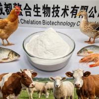 China Magnesium Amino Acid Chelate Organic Trace Mineral Feed Additive With Compound Amino Acids And High Absorption For Animal Feed for sale
