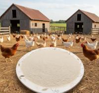 China Premium Proteinate Chelated Zinc Feed Additive Water Solubility for Improved Animal Performance and Growth for sale