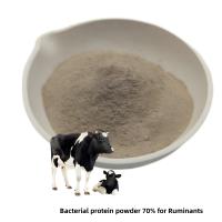 China Animal Feed Additive 70% Bacterial Protein Powder Poultry Protein Supplement Promote Nutrition for sale