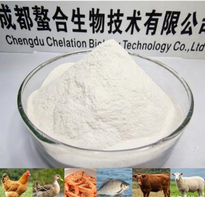 China Amino Acid Feed Additives Formulated To Support Aquatic Animal Intestinal Health Promote Shrimp Molting And Enhance Shell Strength for sale