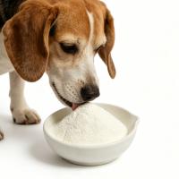 China Feed Amino Acid Premix for Adult Dogs to Promote Muscle Development Coat Shine and Mold Resistance for sale
