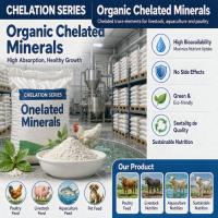 China High-Bioavailability Organic Chelated Chromium Enhancing Feed Efficiency in Poultry Pet Birds for sale