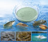 China Copper Proteinate Feed Additive | Organic Chelated Copper, Crude Protein 20%, Copper 10%-20% for Livestock, Poultry & Aquaculture for sale