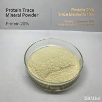 China High-Quality Protein & Trace Element Premix – 20% Protein, 10% Trace Elements for Poultry & Livestock for sale