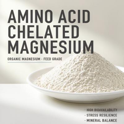China Organic Magnesium Amino Acid Chelate with 15% Organic Mg for High Bioavailability and Stress Control in Livestock Feed for sale