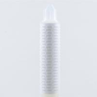 China Customizable PTFE Beverage Filter Cartridge 10-40 Inch 0.5-5 Micron for Food Industry for sale