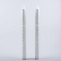China PTFE Membrane Filter Cartridge 0.22μm 30