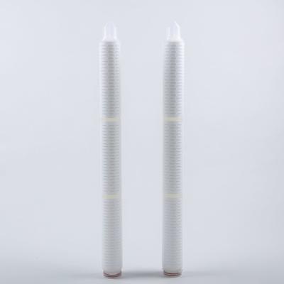China PTFE Membrane Filter Cartridge 0.22μm 30