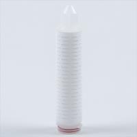 China PES Membrane Filter Cartridge 10