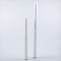 China PES Membrane Filter Cartridge 0.45μm 40