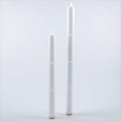 China PES Membrane Filter Cartridge 0.45μm 40
